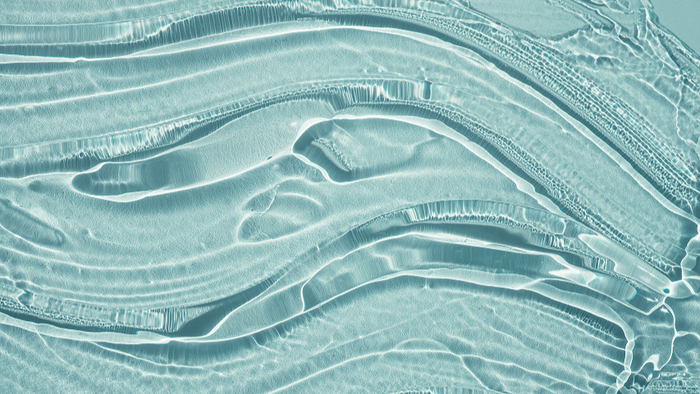 How to Identify and Recognize Dehydrated Skin? | Algotherm